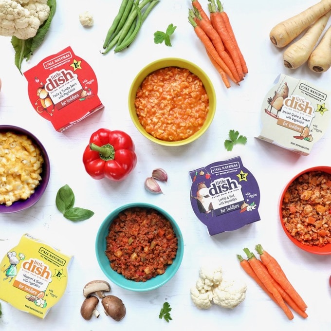 Introducing Little Dish: Fresh Nutritious Meals Toddlers Love – Sourced