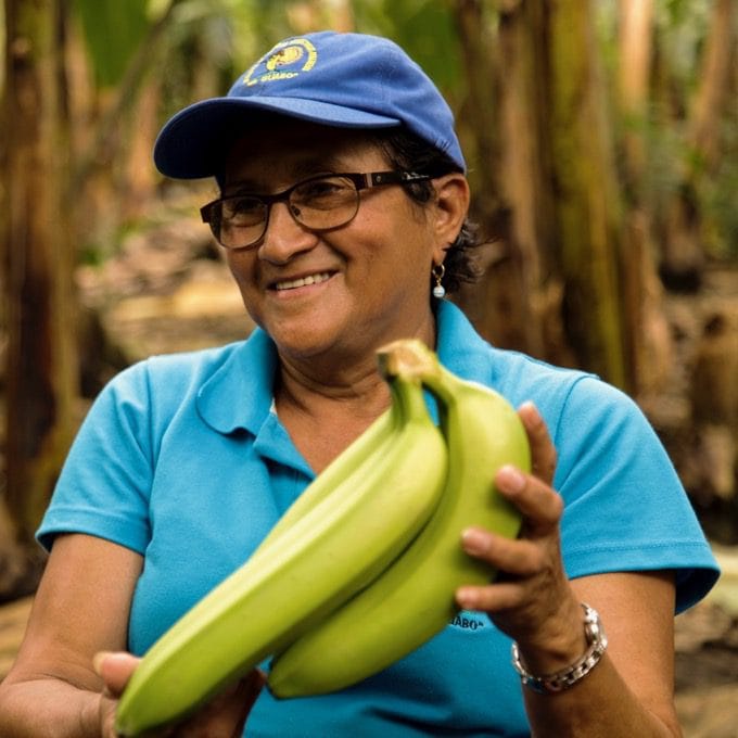 How Fairtrade Bananas Support Ethical Food Production – Sourced