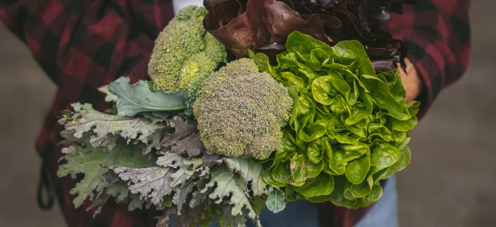 FreshDirect Sourced: Hepworth Farms | Sourced