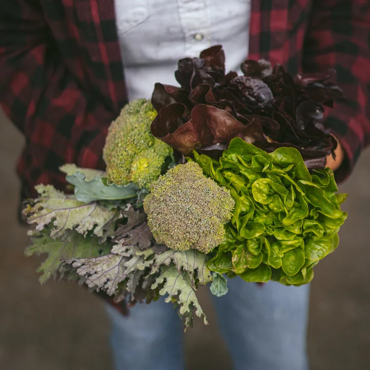 FreshDirect Sourced: Hepworth Farms | FreshDirect