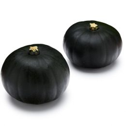 Where to get Halloween pumpkins delivered in NYC | FreshDirect