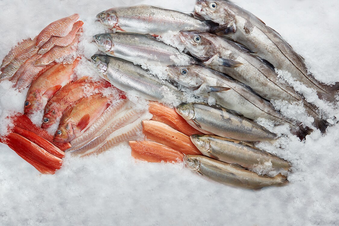 Why Choose Icelandic Seafood