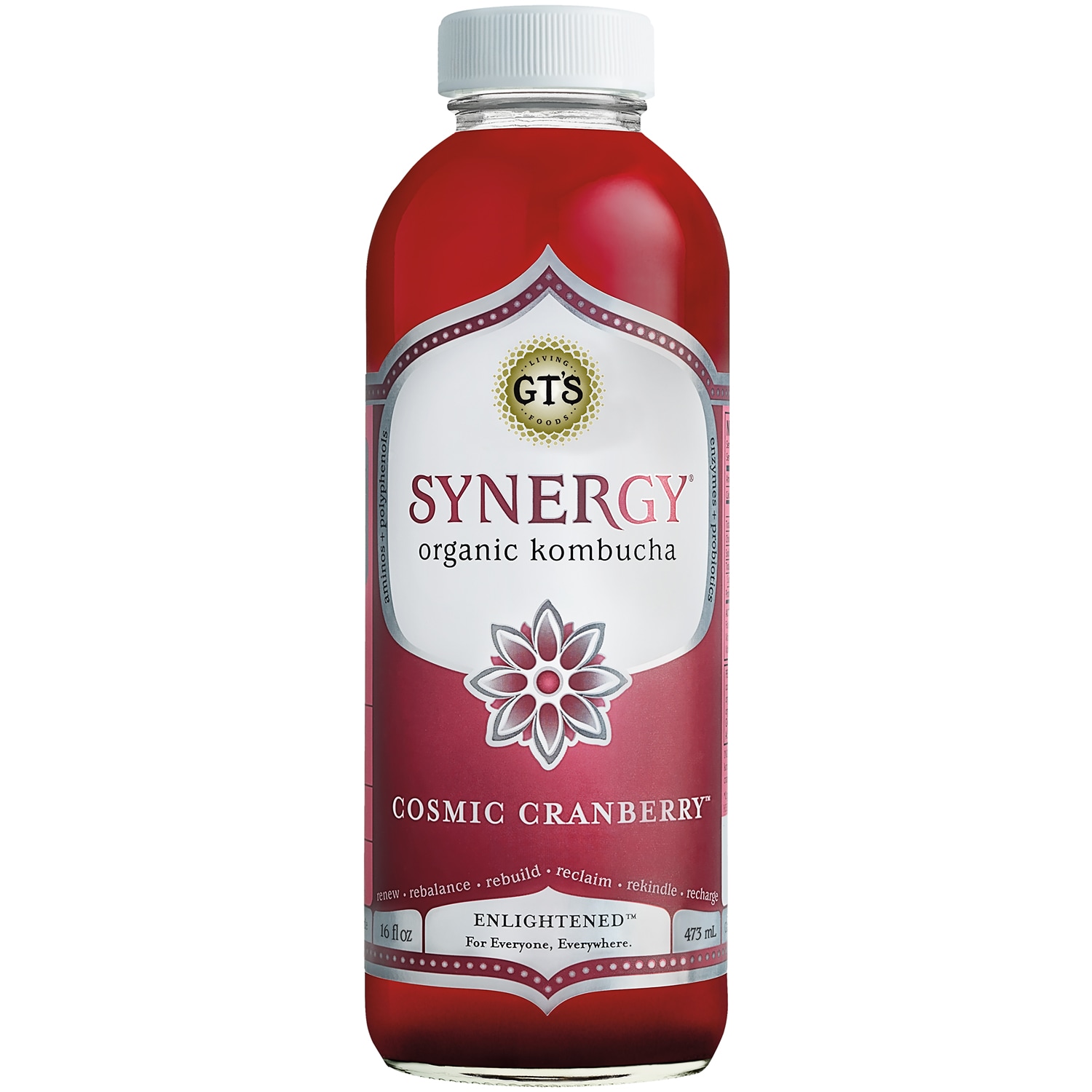 Gt Kombucha Nutrition Facts | Besto Blog