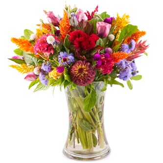 Meet Lancaster Farm Fresh Cooperative