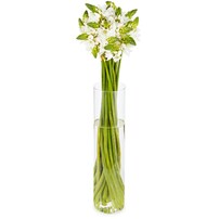 Fresh Flower Delivery | FreshDirect