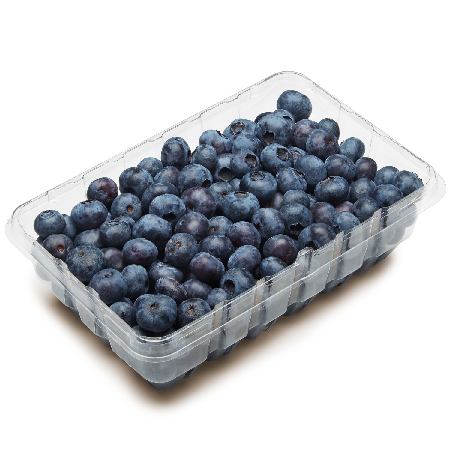 Order Organic Blueberries | Fast Delivery