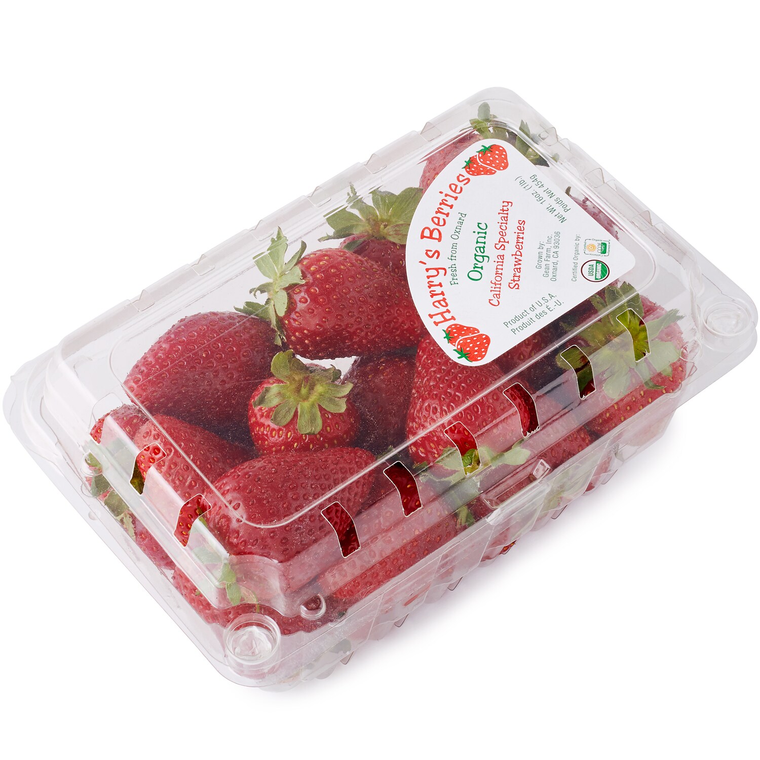 Harry's Berries Organic California Strawberries | FreshDirect