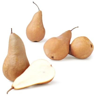 bosc pear uk