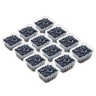 Blueberries, Case, 12ct | FreshDirect