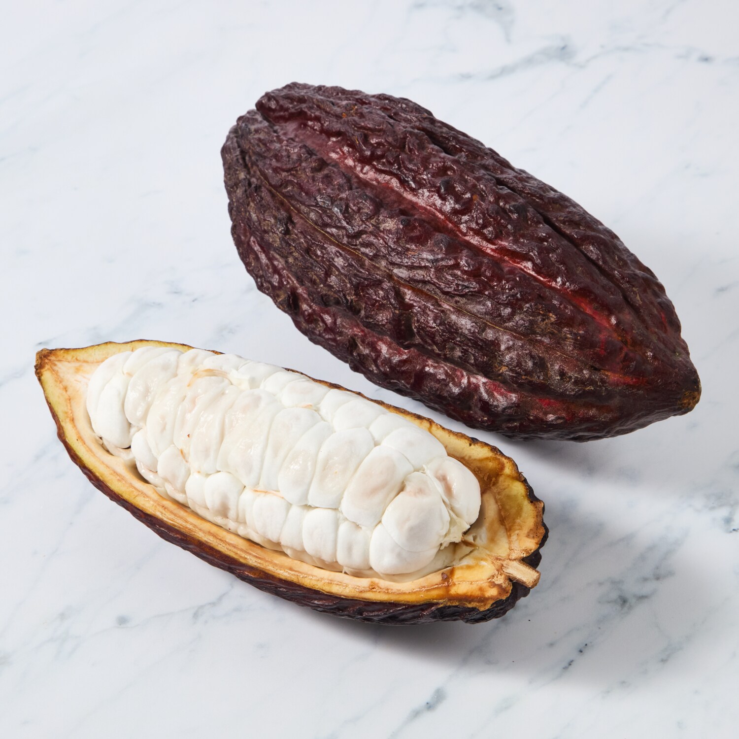 cocoa beans fruit