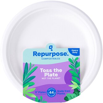 Dixie Everyday Paper Plates 48ct | FreshDirect