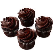 Order Sanders Party Size Chocolate Bumpy Cake | Fast Delivery