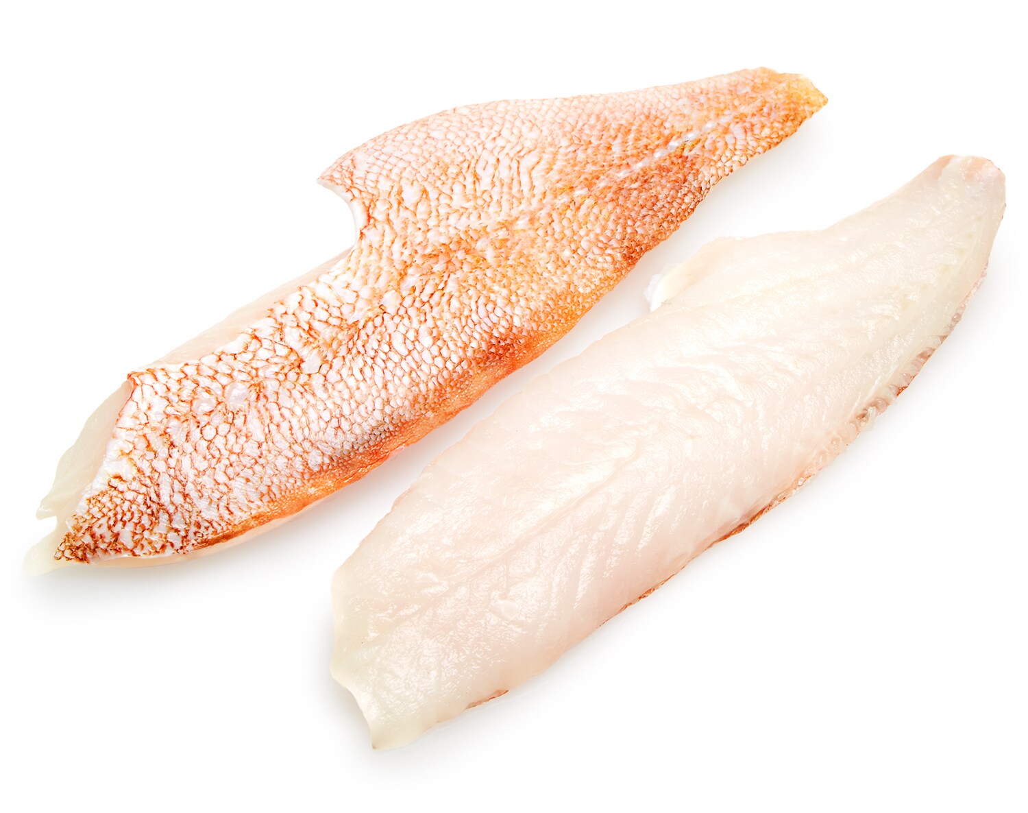 Order Ocean Perch Fillet | Fast Delivery