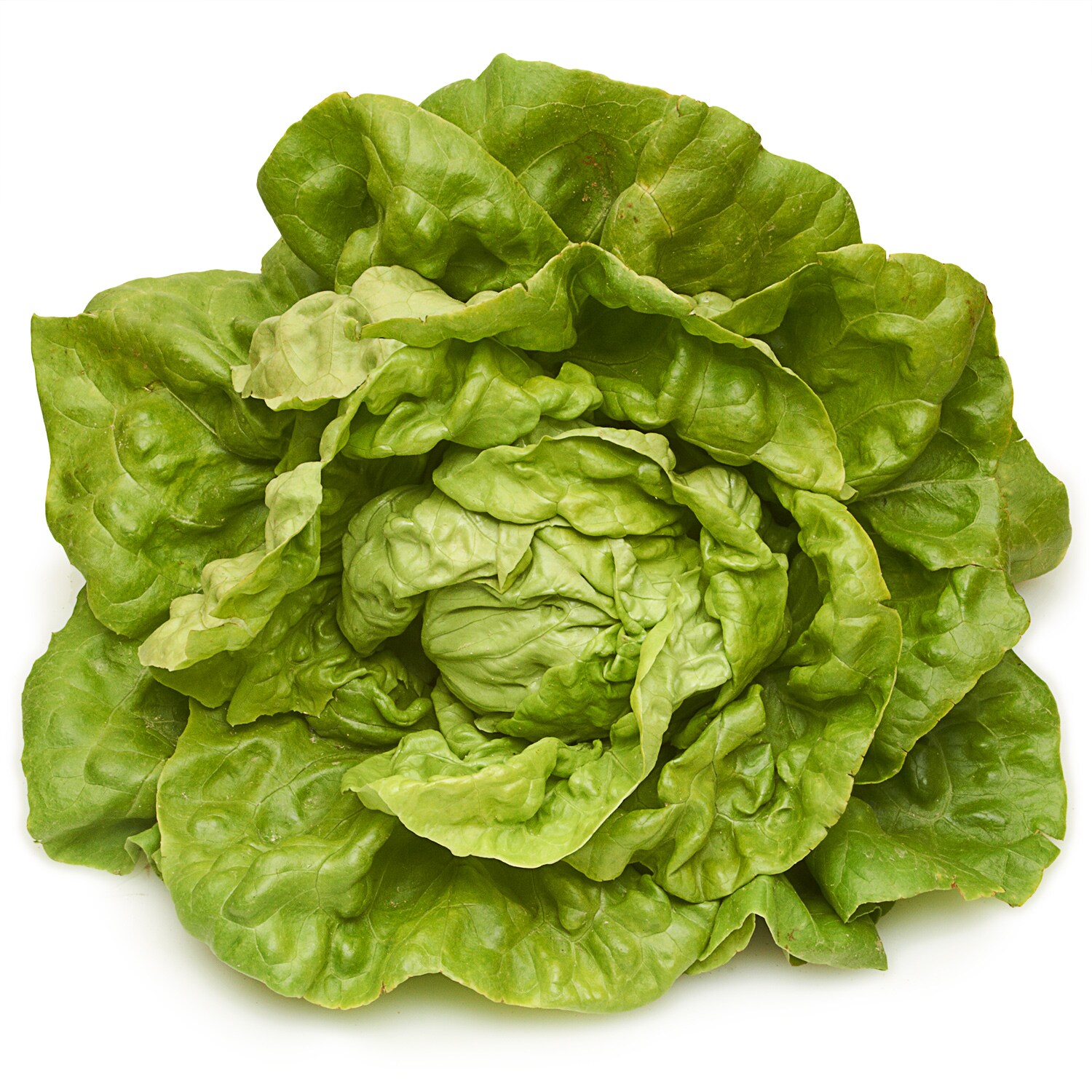 Order Deer Run Farms Boston Lettuce | Fast Delivery