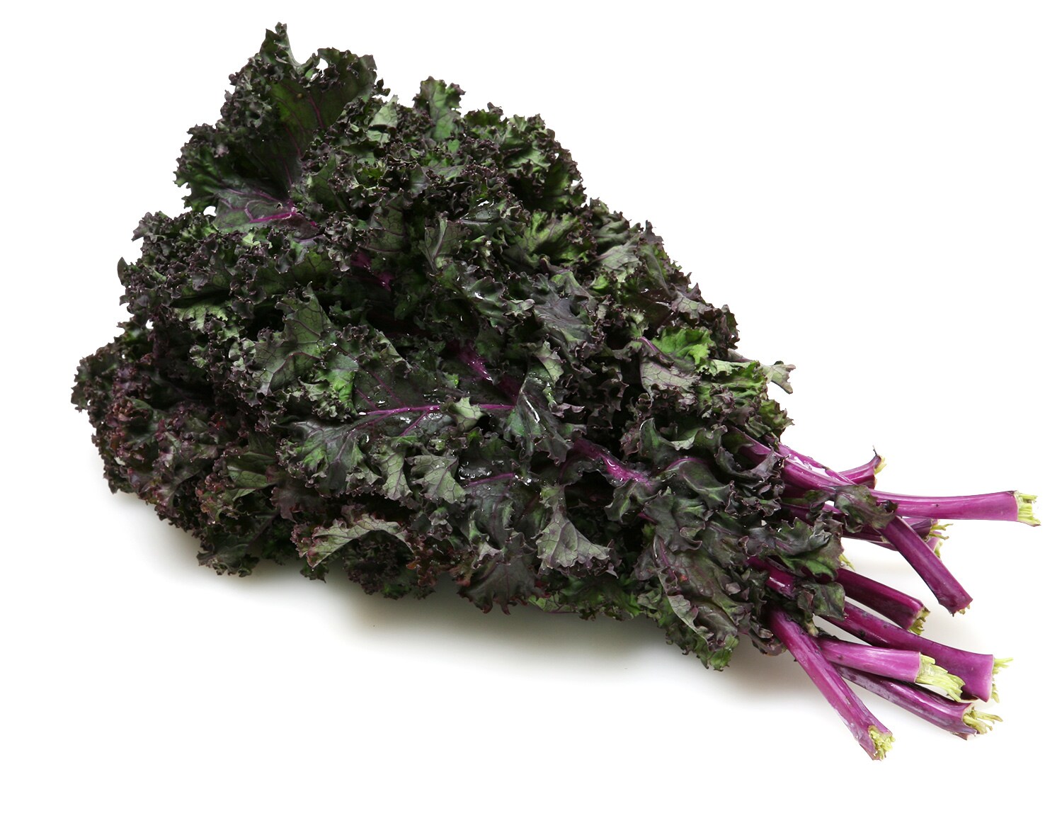 Order Organic Red Kale | Fast Delivery