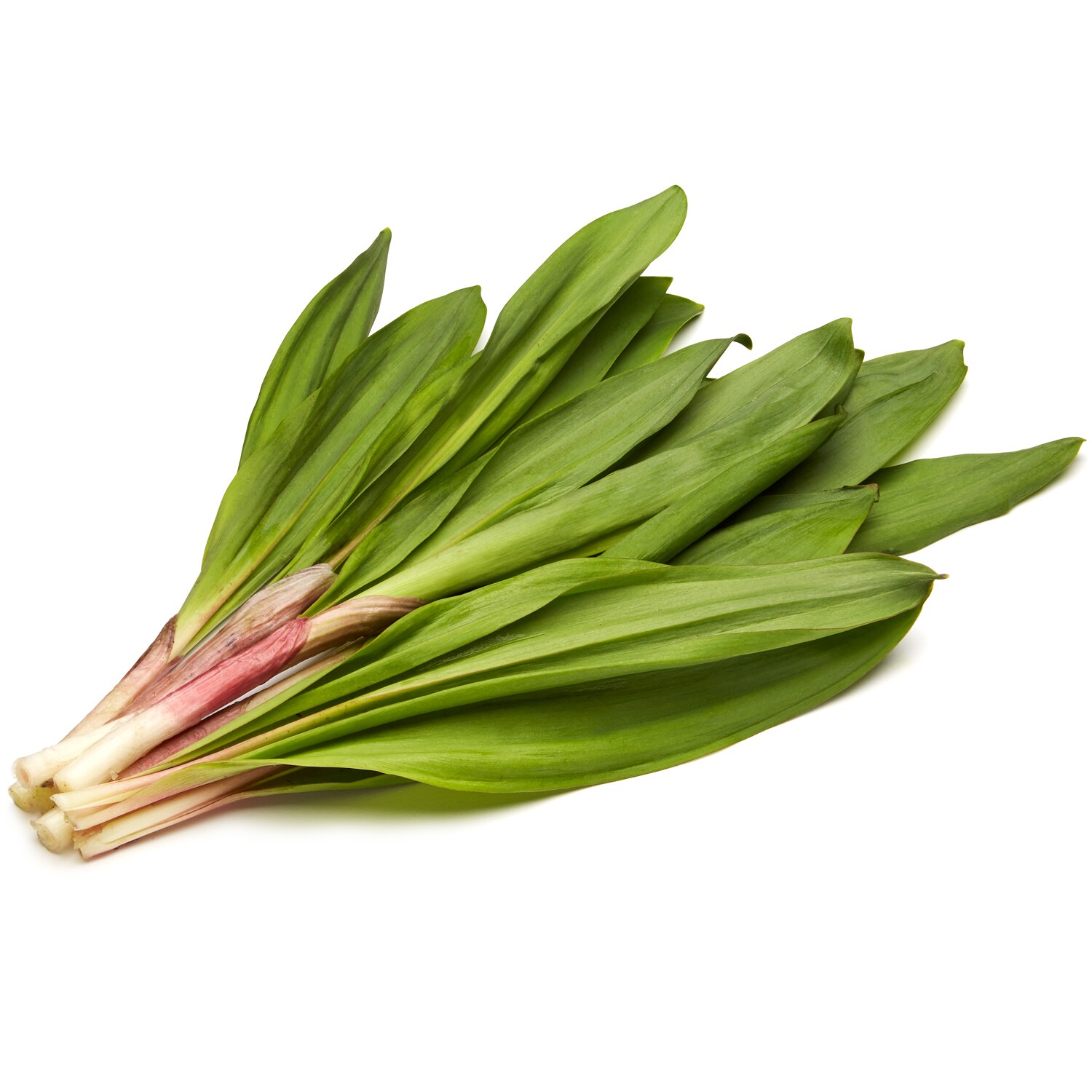 Order Meadows and More Local Wild Ramp Leaves | Fast Delivery
