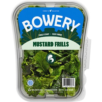 Satur Farms Baby Spinach Pack 10oz | FreshDirect