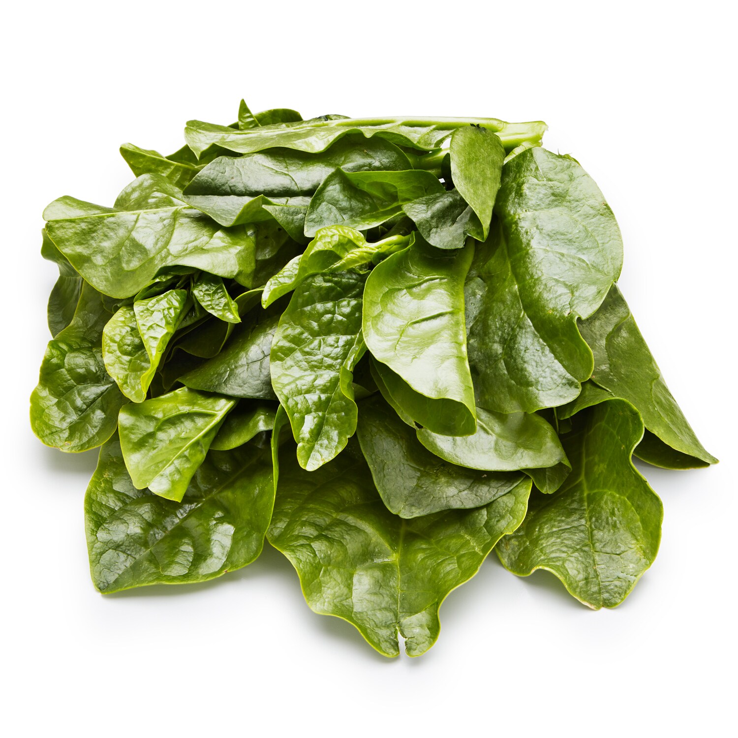 Lancaster Cooperative Organic Malabar Spinach | FreshDirect